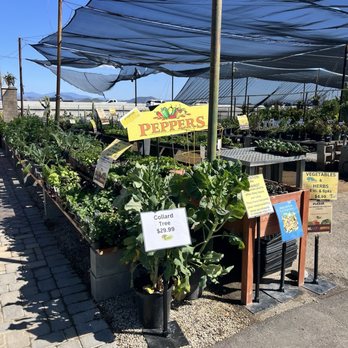 LOUIE’S NURSERY - Updated December 2025 - 122 Photos & 100 Reviews ...