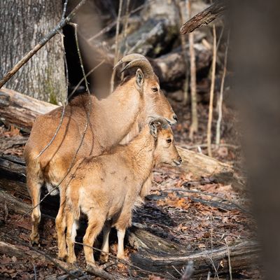 WILSTEM - Updated December 2025 - 354 Photos & 89 Reviews - 4229 W US ...