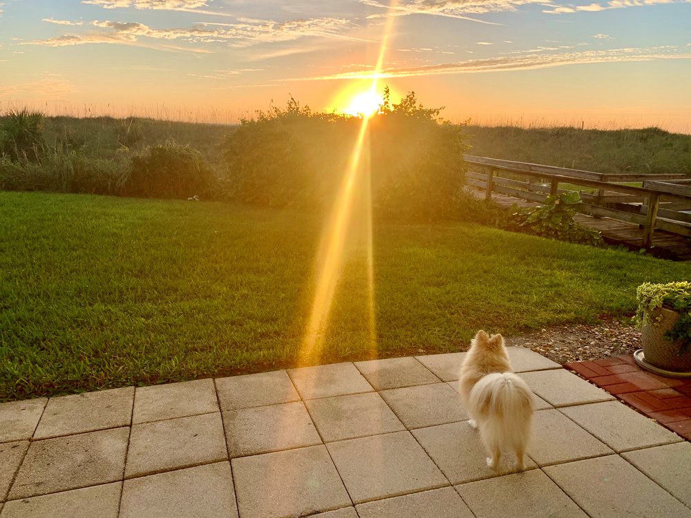 KELLY BRUNO - FLORIDA LIFESTYLE REALTY - Contact Agent - 105 Escambia ...