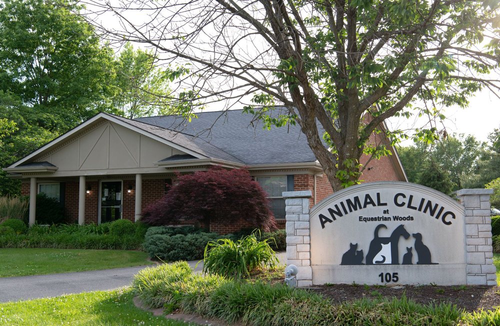 ANIMAL CLINIC AT EQUESTRIAN WOODS - Updated May 2026 - 105 Springdale ...