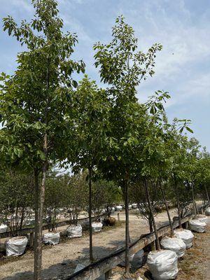 THE FIELDS ON CATON FARM - Updated September 2025 - 27 Photos & 23 ...