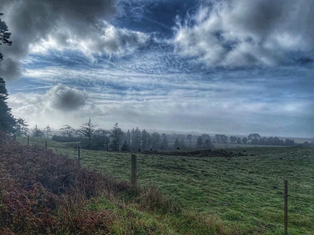 CHAH-GAH-CHO TRAILHEAD - Updated June 2024 - McKinleyville, California ...