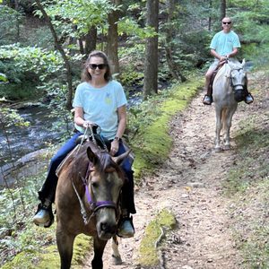 BLUE SPRINGS FARM - Updated June 2025 - 15 Photos - 9533 Old Preserve ...