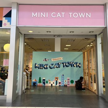 MINI CAT TOWN - 252 Photos & 112 Reviews - 2200 Eastridge Lp, San Jose ...