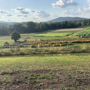 FISHKILL FARMS - Updated October 2025 - 868 Photos & 294 Reviews - 9 ...
