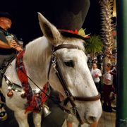 THE SHOPS AT WIREGRASS - 181 Photos & 127 Reviews - 28211 Paseo Dr ...