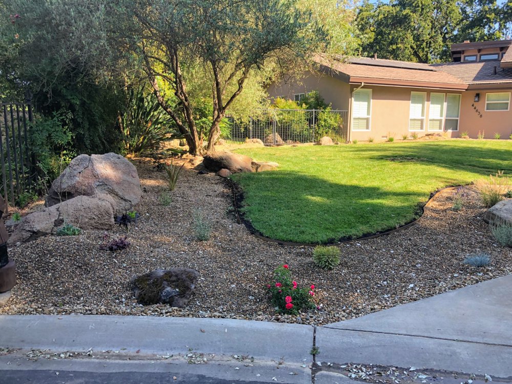 DROUGHT TOLERANT LANDSCAPES - Updated November 2025 - 12 Photos - 2521 ...
