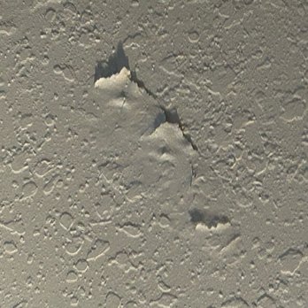 SOUTHERN TEXTURES OF FLORIDA - Updated December 2025 - 38 Photos & 38 ...