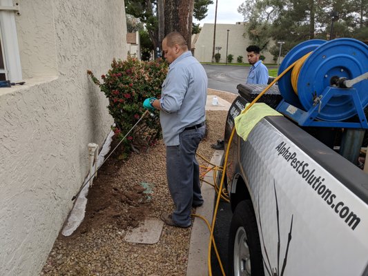 ALPHA PEST CONTROL - Updated October 2025 - 42 Photos & 21 Reviews ...