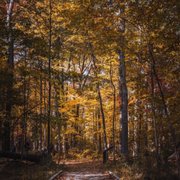 CARPENTER LAKE NATURE PRESERVE - 149 Photos & 42 Reviews - 10 Mile Rd ...