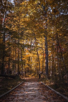 CARPENTER LAKE NATURE PRESERVE - Updated October 2025 - 161 Photos & 48 ...