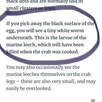 THE CRAWFISH GUY - 358 Photos & 462 Reviews - 5730 N First St, Fresno ...