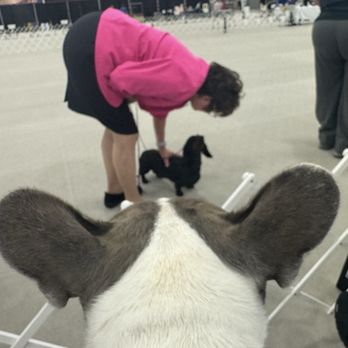 PURINA FARMS - TEMP. CLOSED - Updated August 2025 - 161 Photos & 54 ...