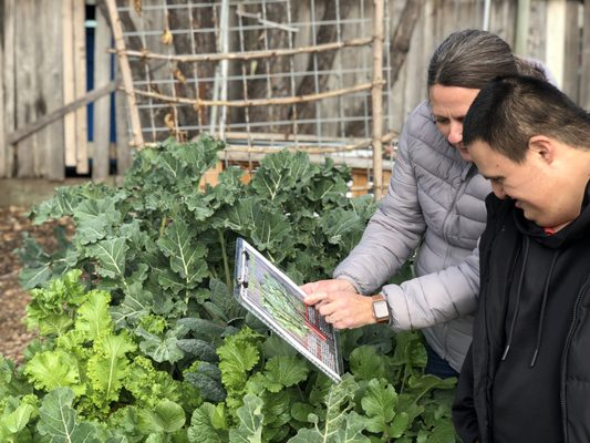 BECOMING INDEPENDENT - Updated January 2026 - 12 Photos - 1455 ...