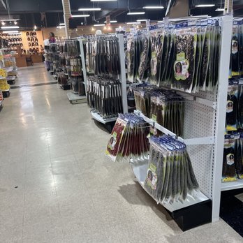 TISUN BEAUTY - Updated January 2026 - 41 Photos & 83 Reviews - 5420 N ...