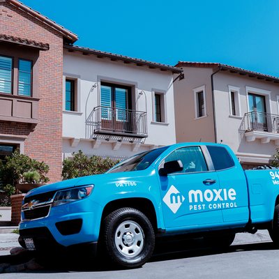 MOXIE PEST CONTROL - Updated December 2025 - 154 Photos & 622 Reviews ...
