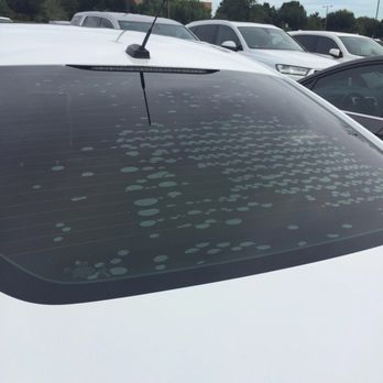 TRITEK WINDOW TINTING - Updated October 2025 - 124 Photos & 107 Reviews ...