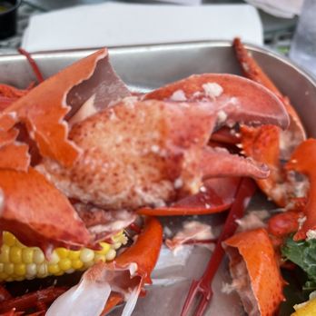 TASTE OF MAINE - Updated May 2024 - 254 Photos & 244 Reviews - 161 Main ...