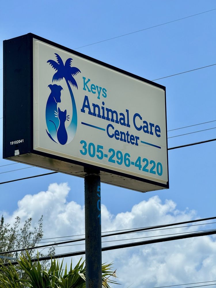 KEYS ANIMAL CARE CENTER - Updated December 2025 - 13 Photos & 16 ...