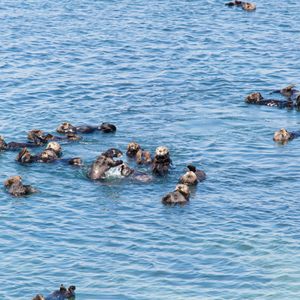MOSS LANDING STATE BEACH - 254 Photos & 72 Reviews - Jetty Rd, Moss ...