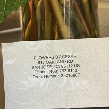 Cesar Flowers Watsonville Ca | Best Flower Site