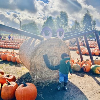 SPOONER FARMS - Updated December 2025 - 149 Photos & 99 Reviews - 9710 ...