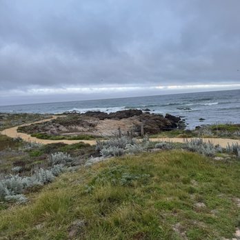 ASILOMAR CONFERENCE GROUNDS - Updated May 2025 - 703 Photos & 516 ...