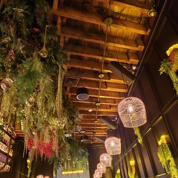 BOKAGUÁ - Updated December 2025 - 304 Photos & 93 Reviews - 3541 ...