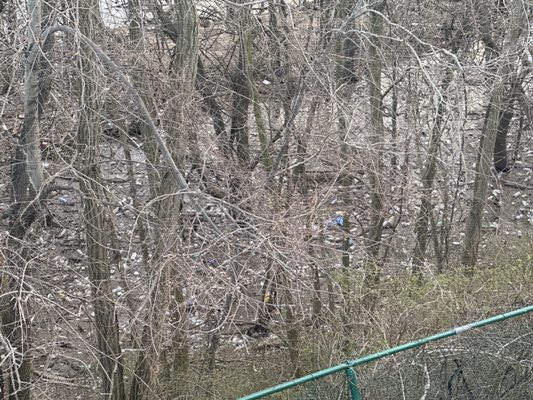 MICHAEL J TULLY PARK - Updated December 2025 - 43 Photos & 29 Reviews ...