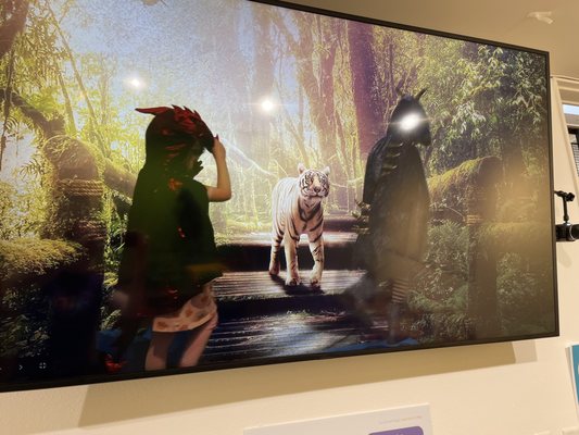 THE FLIP MUSEUM - Updated January 2026 - 79 Photos & 22 Reviews - 136 ...