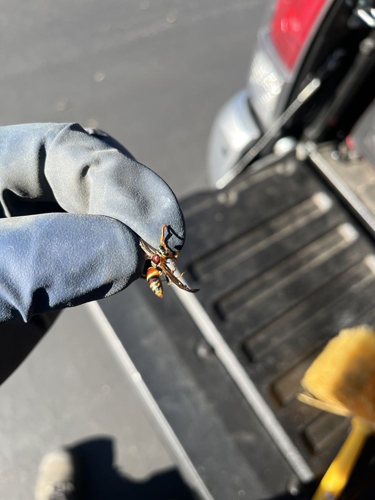 ARK PEST MANAGEMENT - Updated April 2026 - 122 Photos & 28 Reviews ...