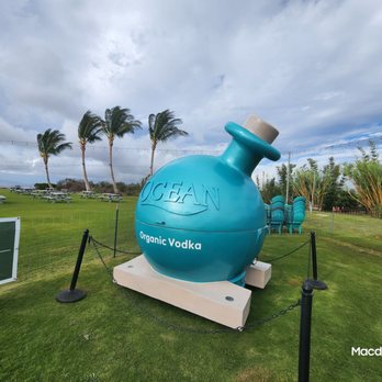 OCEAN ORGANIC VODKA - Updated August 2024 - 1074 Photos & 557 Reviews ...