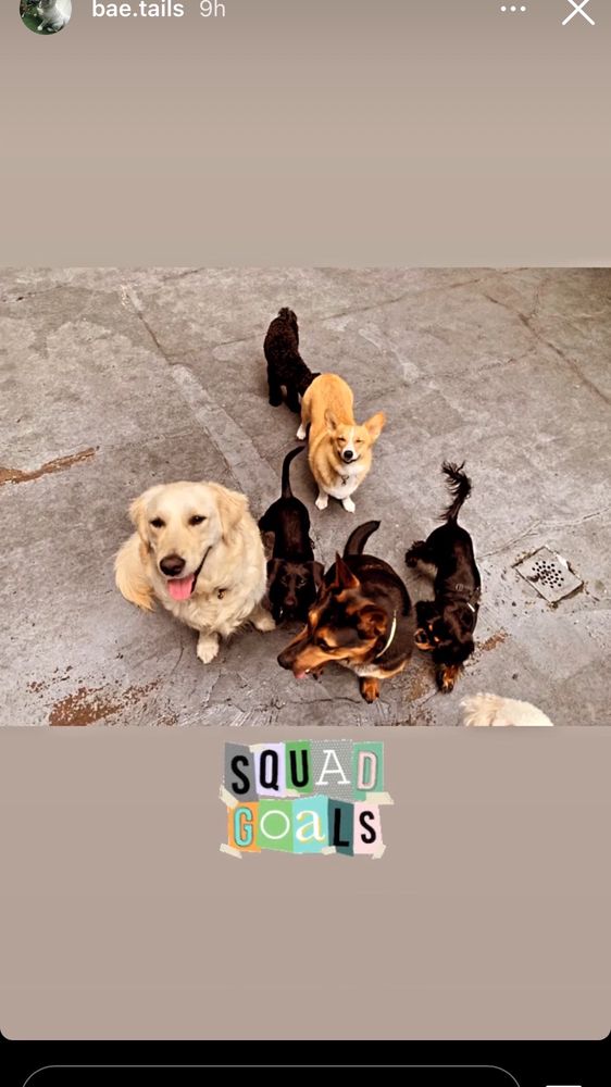 BAE TAILS - Updated December 2025 - 19 Photos & 11 Reviews - 309 E 60th ...