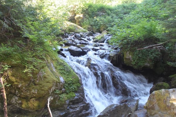 PERRY CREEK HIKE - Updated July 2025 - N Cascades Mountain Loop Hwy ...
