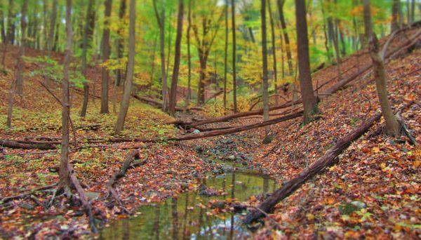 ROUNDTREE PARK - Updated December 2025 - 28 Photos - 3411 Casilear Rd ...