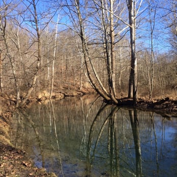 GRIFFY LAKE NATURE PRESERVE - Updated October 2025 - 52 Photos & 13 ...