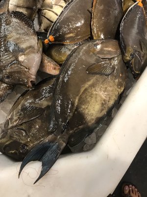 DA FISH MARKET - 52 Photos & 13 Reviews - 94-866 Maloalo St, Waipahu ...