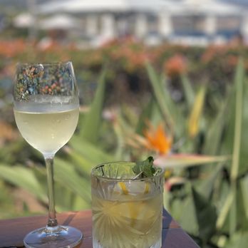 BASHI - Updated November 2024 - 777 Photos & 334 Reviews - 100 Terranea ...