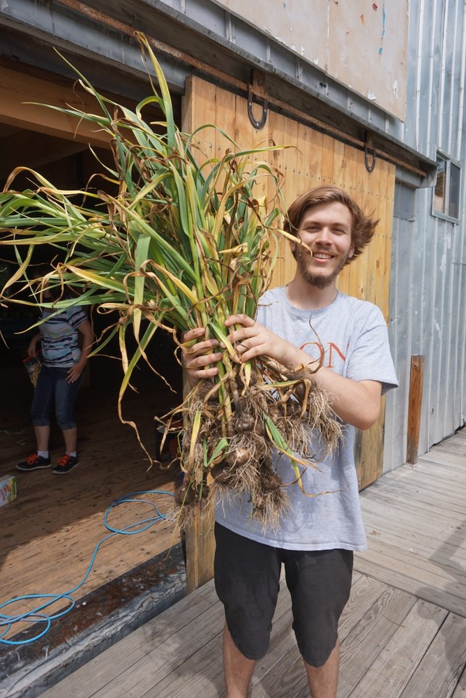 ALAN DAY COMMUNITY GARDEN - Updated October 2025 - 21 Photos - 26 ...