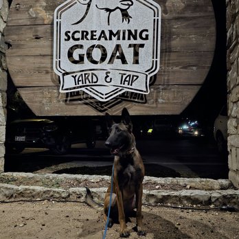 SCREAMING GOAT YARD & TAP - Updated February 2025 - 359 Photos & 241 ...