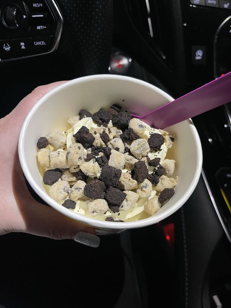 THE FROYO HOUSE - Updated December 2025 - 31 Photos & 36 Reviews - 550 ...