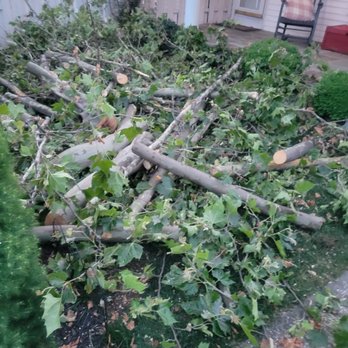 ASPLUNDH TREE EXPERT - Updated December 2025 - 80 Photos & 99 Reviews ...