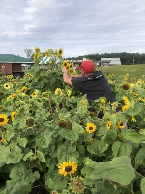 VERRILL FARM - 90 Photos & 123 Reviews - Bakeries - 11 Wheeler Rd ...