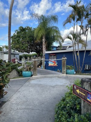 SAFE HARBOR PUERTO DEL REY - Updated December 2025 - 31 Photos ...