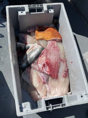 HOMER FISH PROCESSING - Updated July 2025 - 13 Photos & 50 Reviews ...