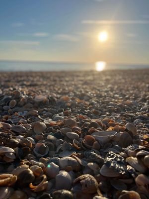 MICKLER’S BEACH - Updated October 2025 - 1324 Photos & 85 Reviews ...