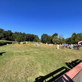 SECOR FARMS - Updated April 2025 - 237 Photos & 79 Reviews - 168 ...