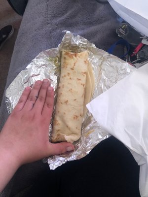 BURRITO EXPRESS - Updated March 2025 - 17 Photos & 74 Reviews - 1592 ...