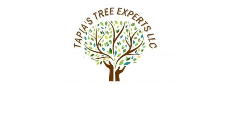 TAPIA’S TREE EXPERTS & LANDSCAPING - Updated July 2025 - Request a ...