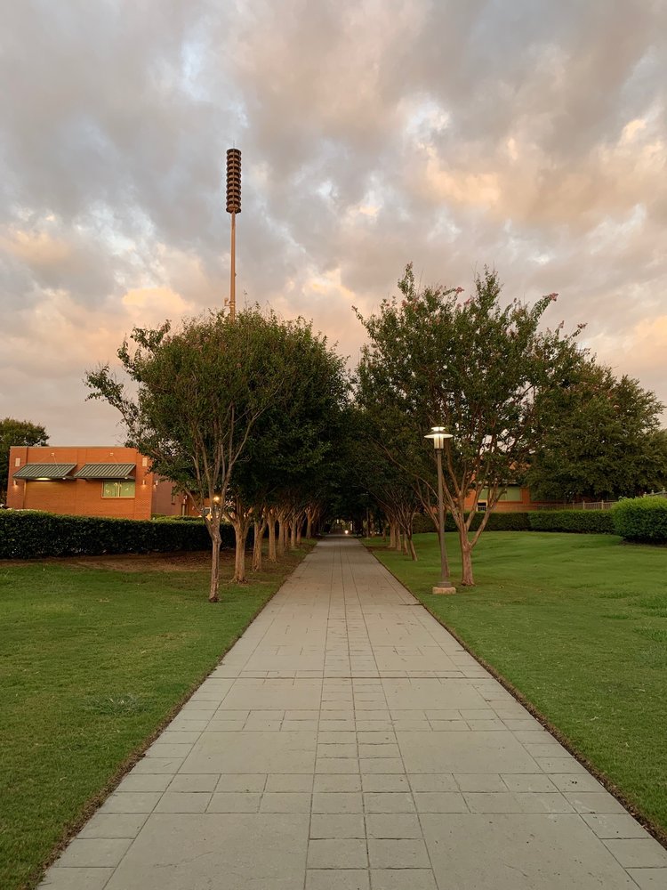 MARIBELLE DAVIS LIBRARY - Updated July 2025 - 28 Photos & 23 Reviews ...